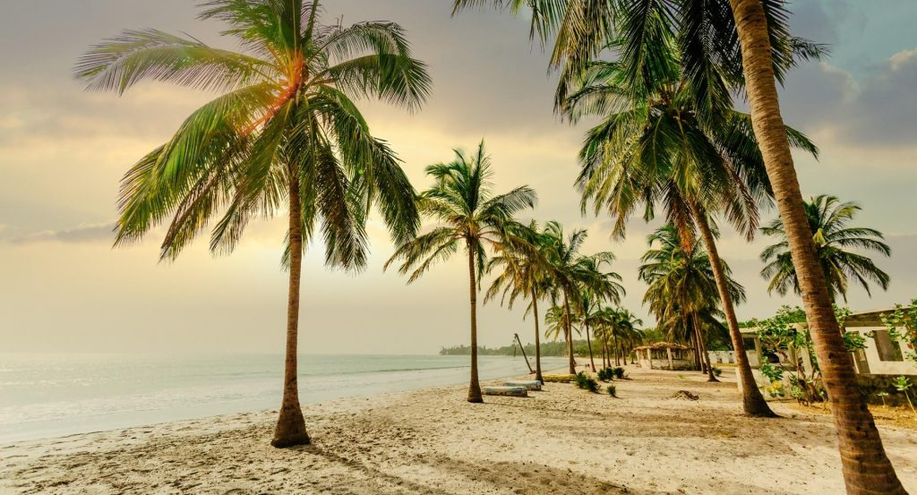 Home - GIA Healthcare